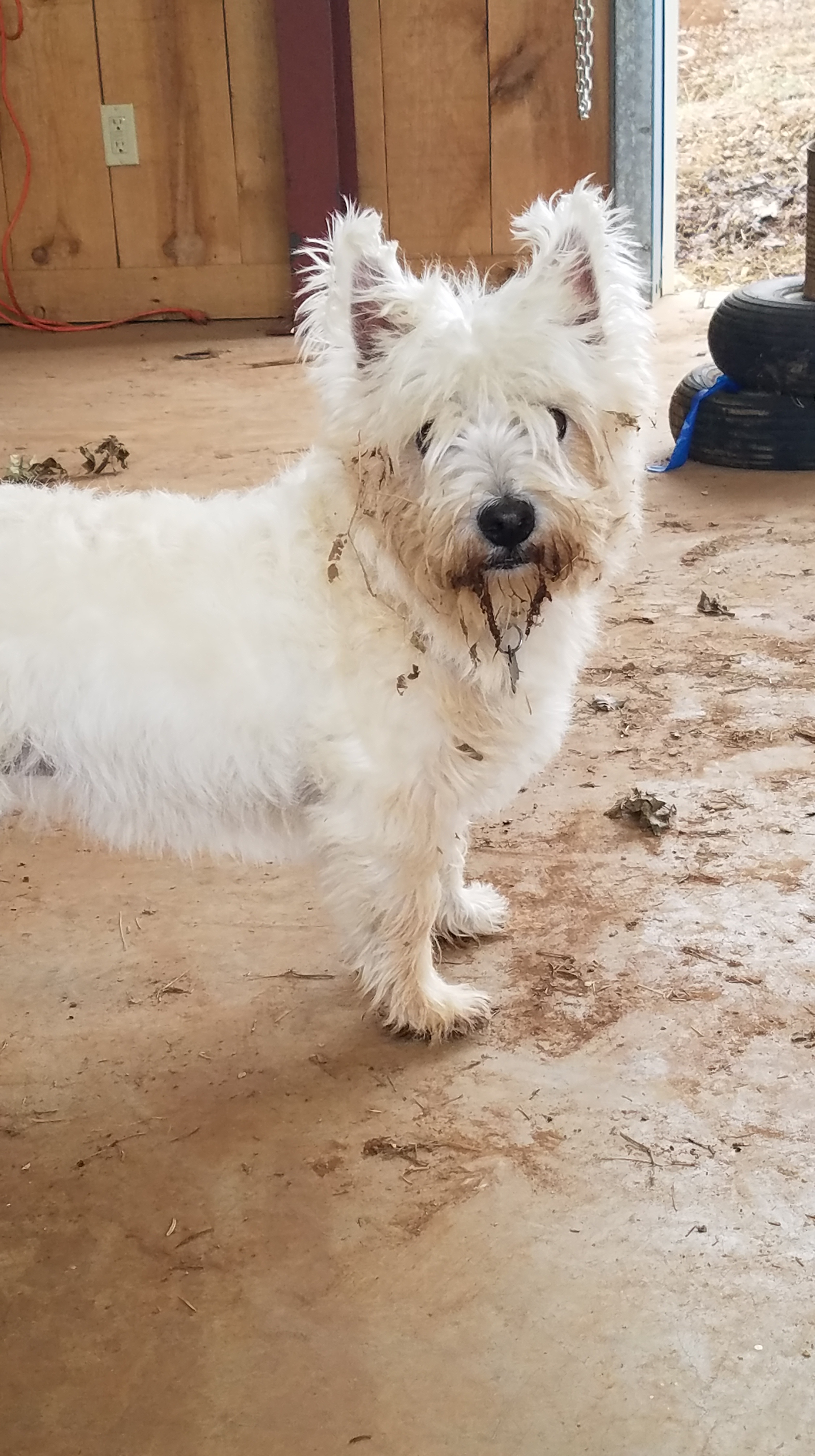 Join Our Interest List – Rapetti Farms