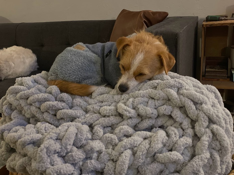 Shop – Rapetti Farms